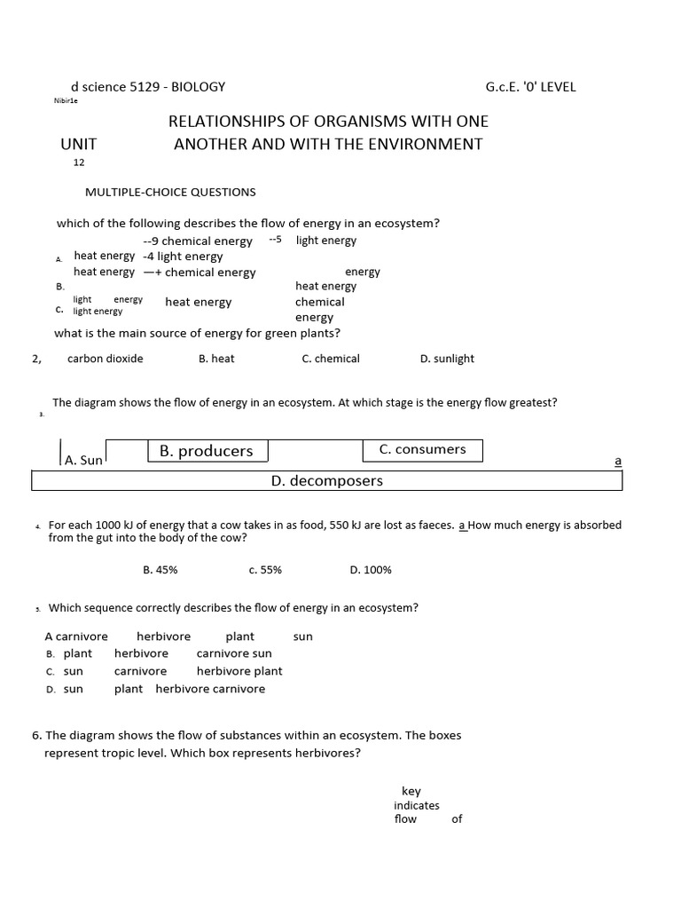 Energy Flow in Ecosystems Quiz | PDF | Food Web | Ecosystem