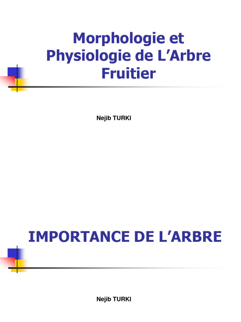 Importance et Morphologie des Arbres Fruitiers | PDF | Racine | Arbres