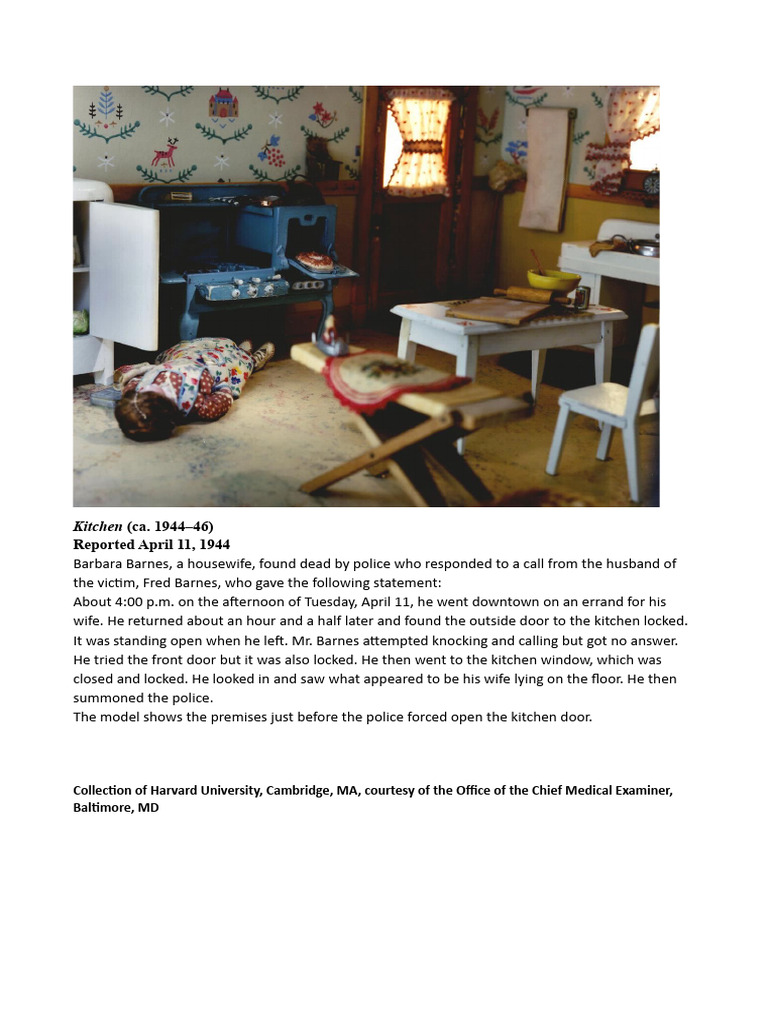 Kitchen Crime Scene | PDF