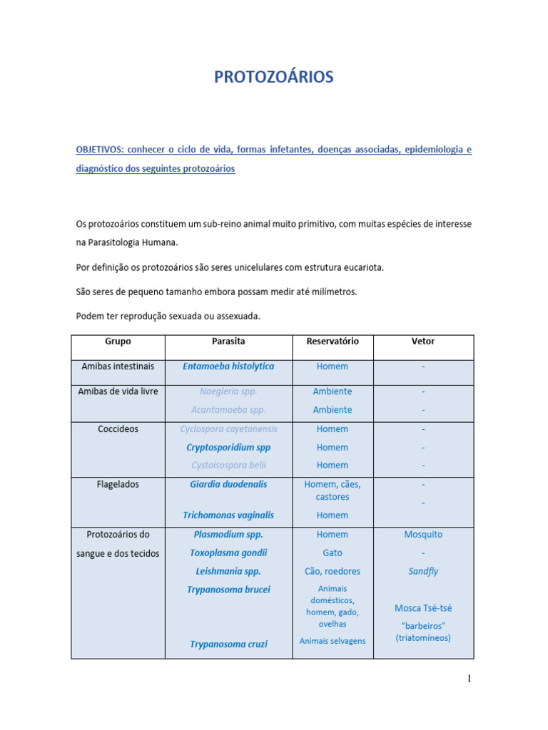 2 Protozoarios | PDF | Malária | Plasmodium
