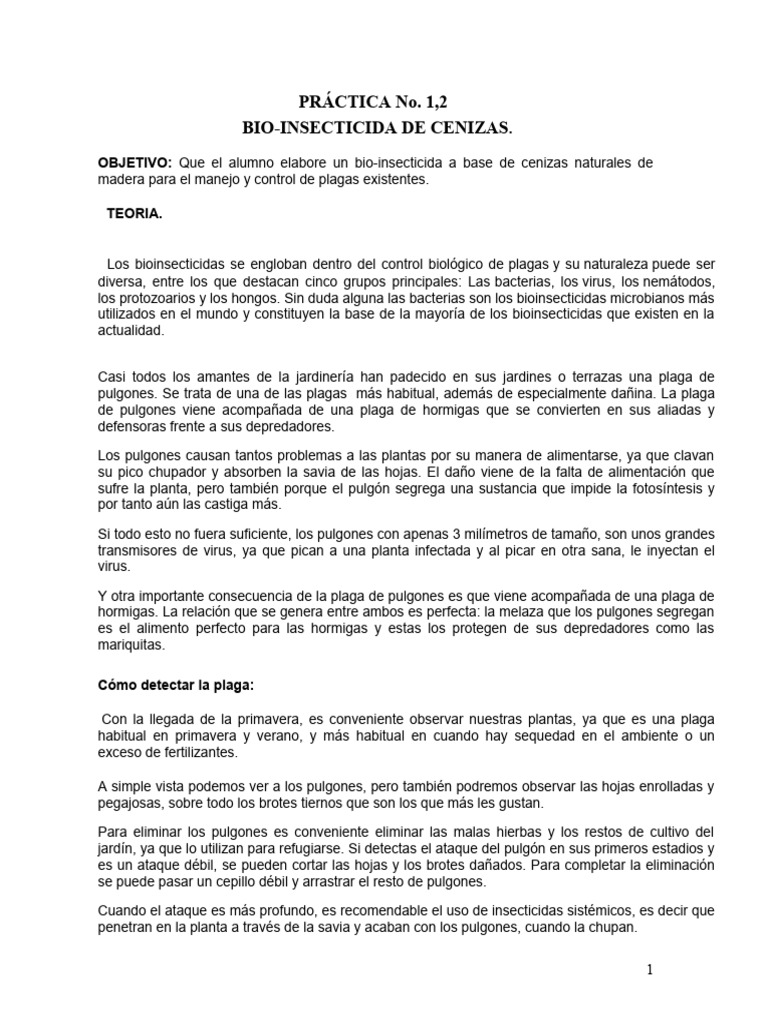 PRACTICA QUIMICA II BIO-INSECTICIDA | PDF | Plaga (organismo) | Hormiga