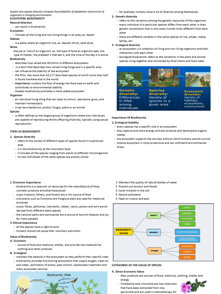 Ecosystem | PDF | Biodiversity | Ecosystem