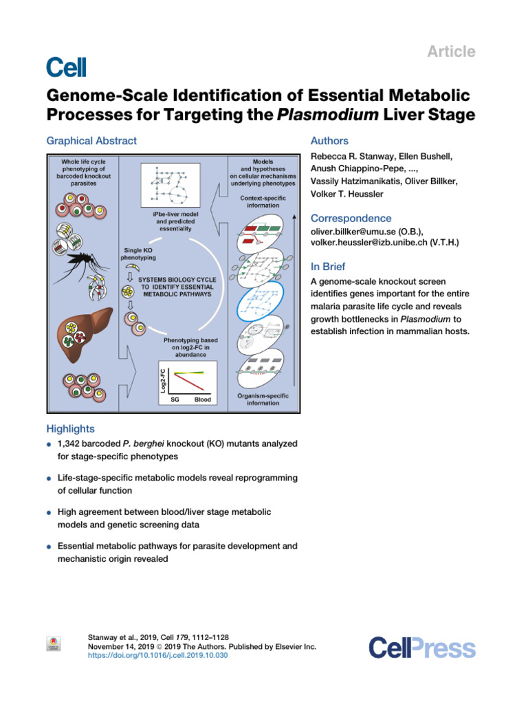 Genome Scale Identification of Essential | PDF | Malaria | Plasmodium