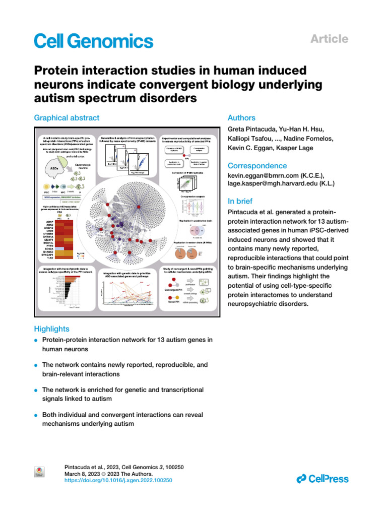 Main | PDF | Gene Expression | Western Blot