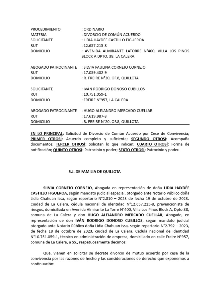 Divorcio Lidia Castillo | PDF | Divorcio | Matrimonio