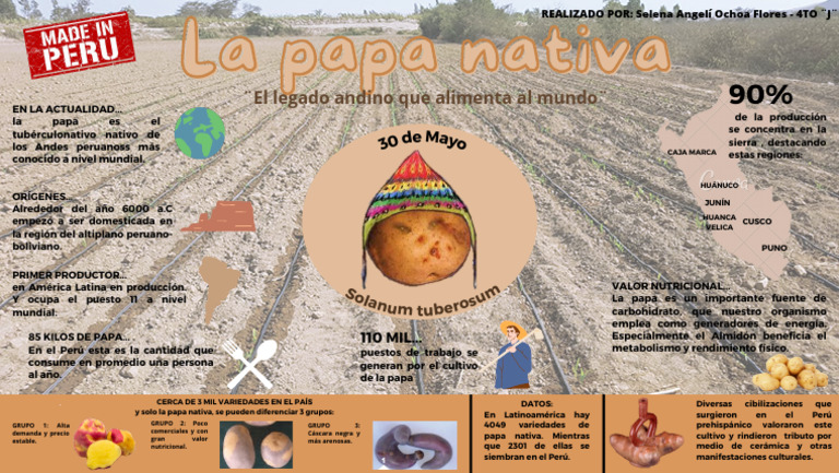 Infografía de La Papa Nativa | PDF | Patata | Perú