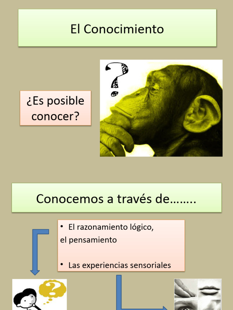 El Conocimiento Científico | PDF | Conocimiento | Verdad