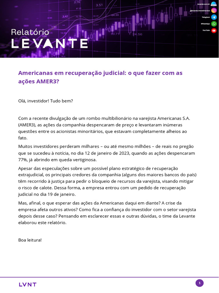 Americanas - Relatório Levante | Download grátis PDF | Economias | Business