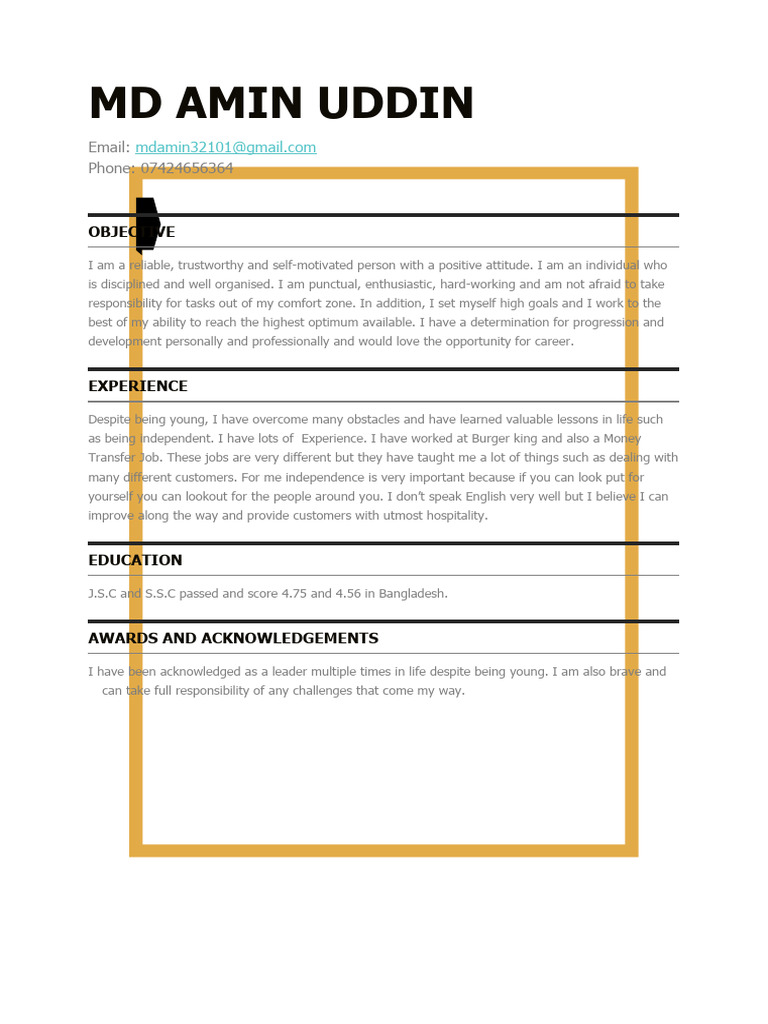 Amin CV | PDF | Career & Growth