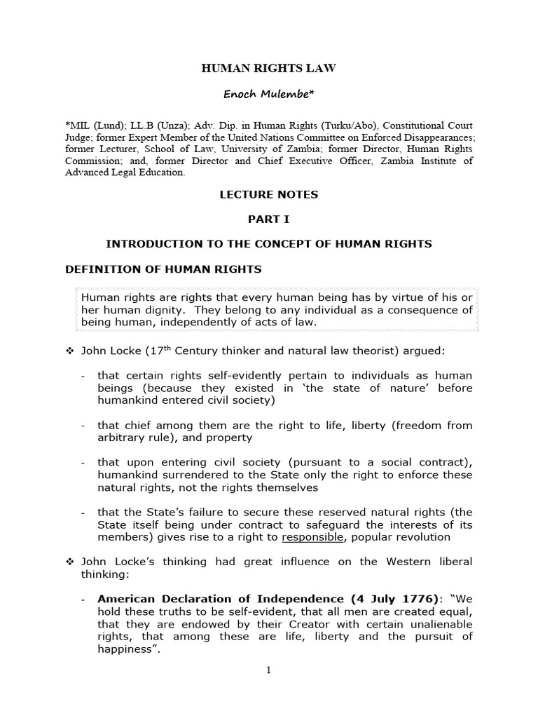 INTERNATIONAL HUMAN RIGHTS SYSTEM | PDF | Treaty | Human Rights