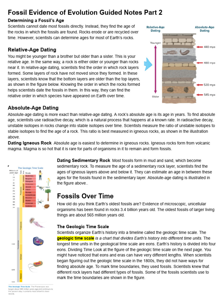 Fossil Evidence of Evolution Guided Notes Part 2 | PDF | Rock (Geology ...