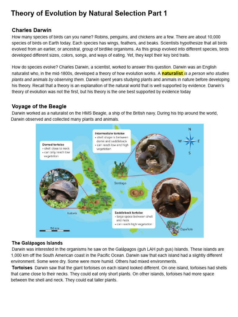Theory of Evolution by Natural Selection Part 1 | PDF | Genetic ...
