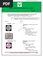 Botany Practical Examination Key 2024 | PDF | Plant Stem | Vector ...