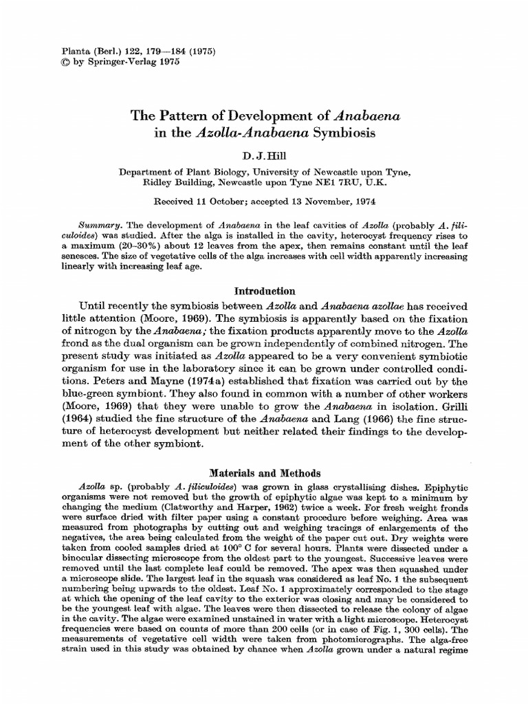 The Pattern of Development of Anabaena I | PDF | Leaf | Plants