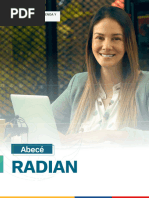 Instructivo RADIAN | PDF | Software | Factura