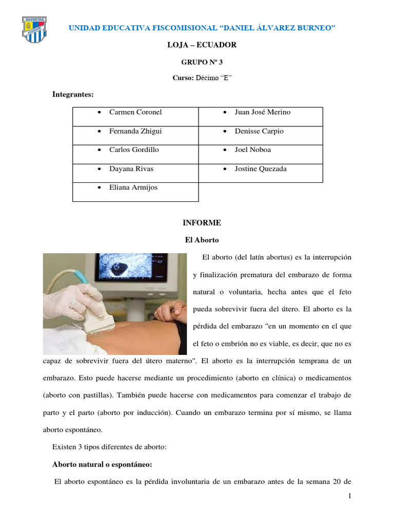 Informe CCNN | PDF | Aborto | El embarazo