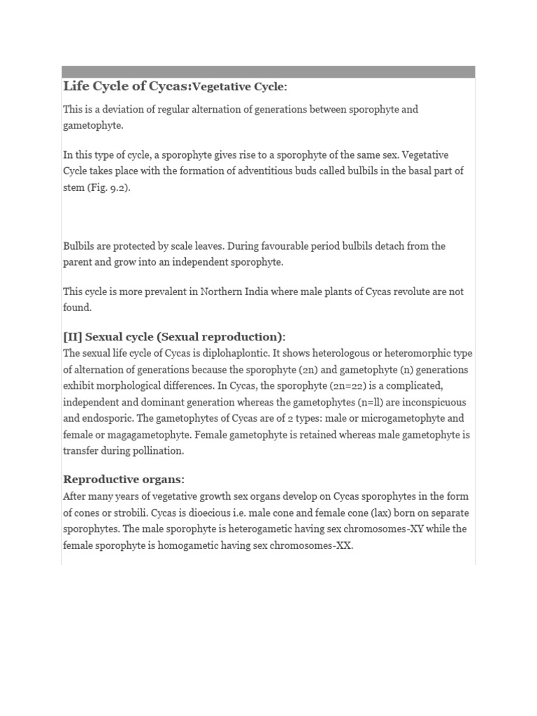 Life cycle of cycas | PDF | Seed | Biological Interactions