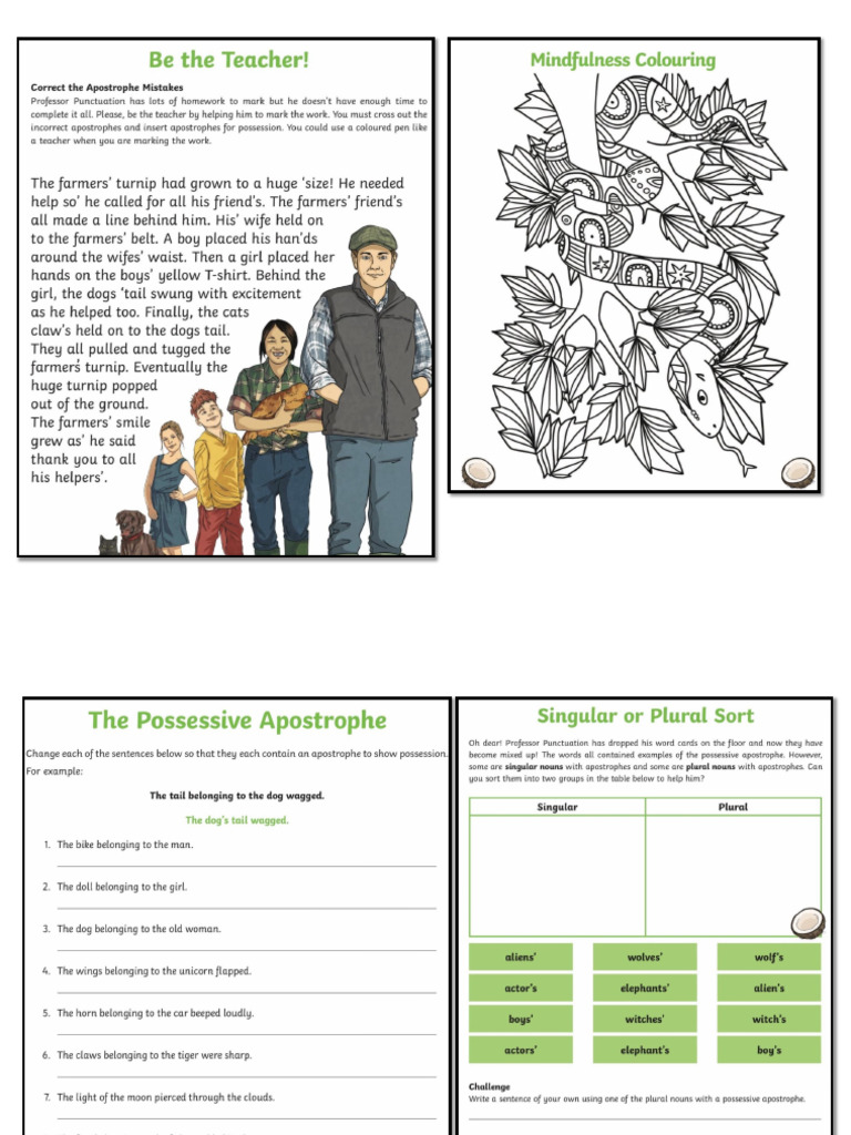 Apostrophes Worksheets | PDF