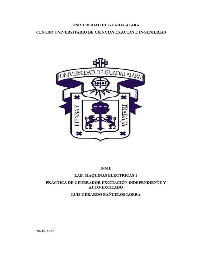 Practica8. Generador Excitación Independiente y Auto-Excitado | PDF | Tecnología