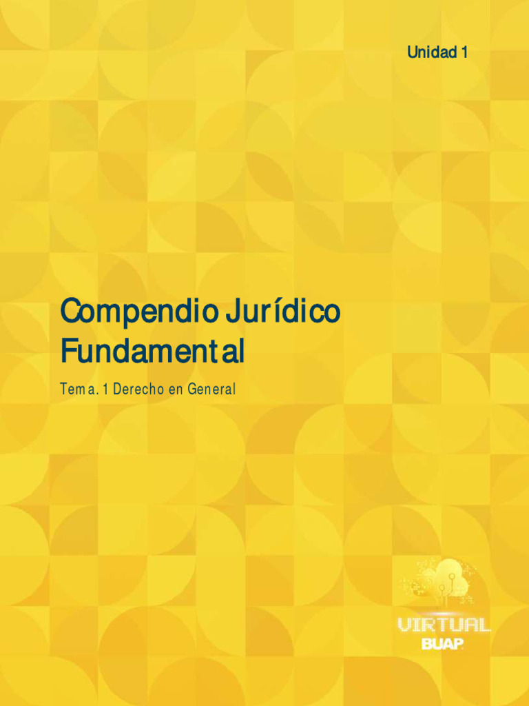 Tema 1 - 240131 - 124652 | PDF | Derechos | Ley Pública