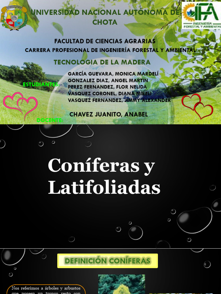 Coníferas y Latifoliadas: Definiciones y Usos | PDF | Madera | Hoja