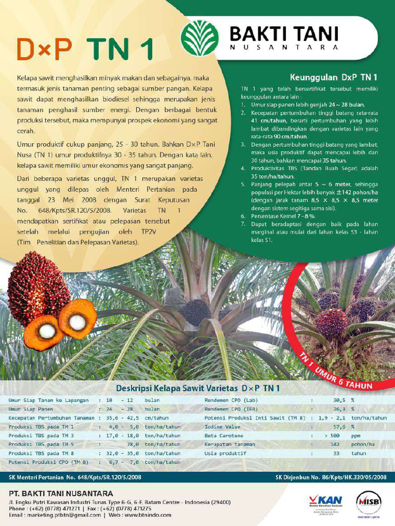 Layer BTN 2022 | PDF