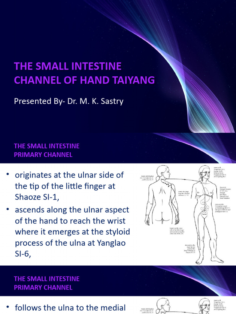 06 - The Small Intestine Channel of Hand Taiyang | PDF | Elbow | Shoulder