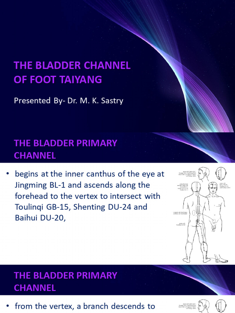 07 - The Bladder Channel of Foot Taiyang | PDF | Thorax | Abdomen