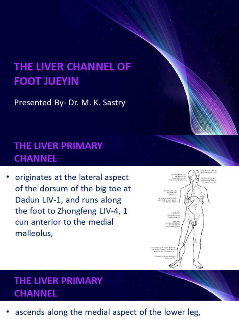 12 - The Liver Channel of Foot Jueyin | PDF | Knee | Abdomen