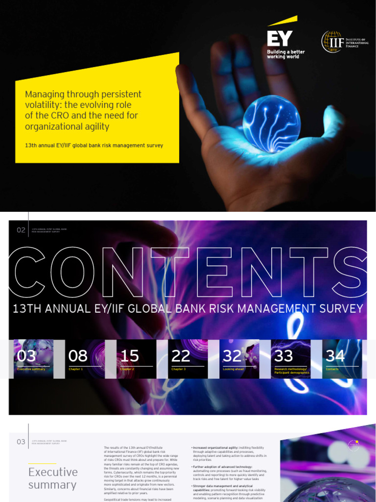 Ey Iif Bank Risk Management Survey Pdf Risk Risk Management