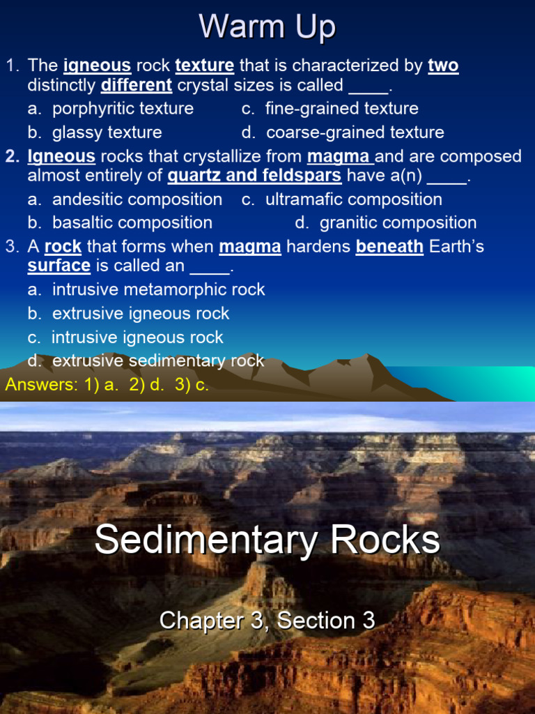 Sedimentary Rocks | PDF | Rock (Geology) | Sedimentary Rock