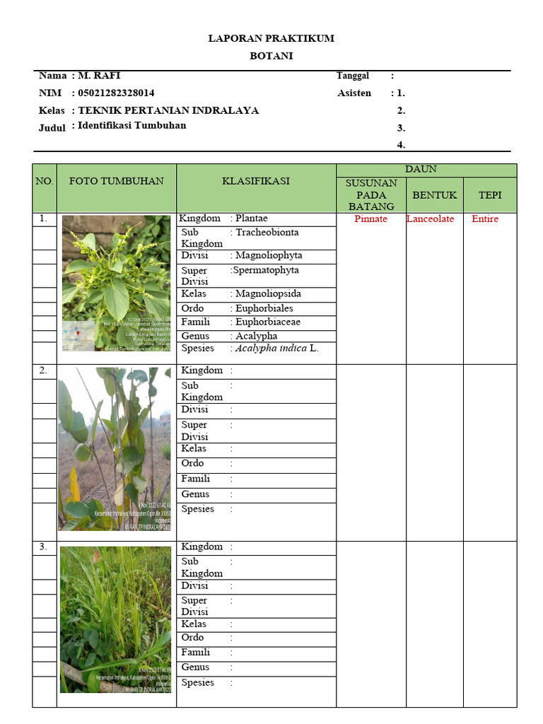 Botani - Identifikasi Tumbuhan | PDF