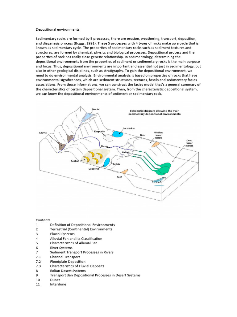 Depositional Environments | Download Free PDF | Sedimentary Rock | Dune
