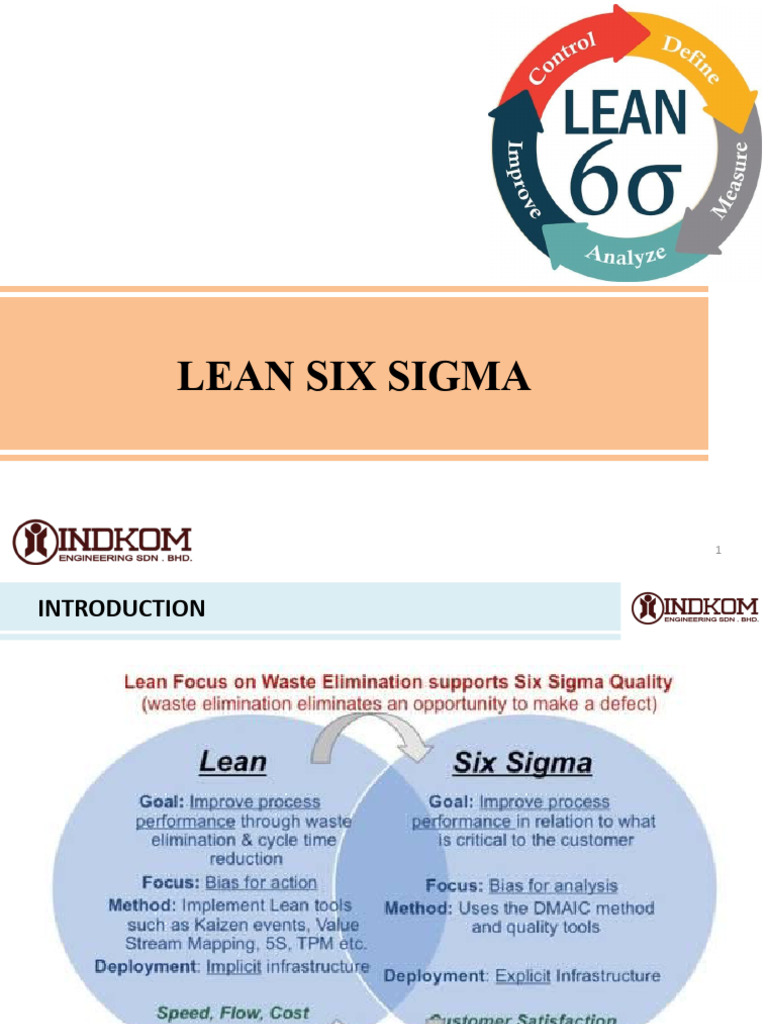 LEAN SIX SIGMA | PDF | Six Sigma | Lean Manufacturing
