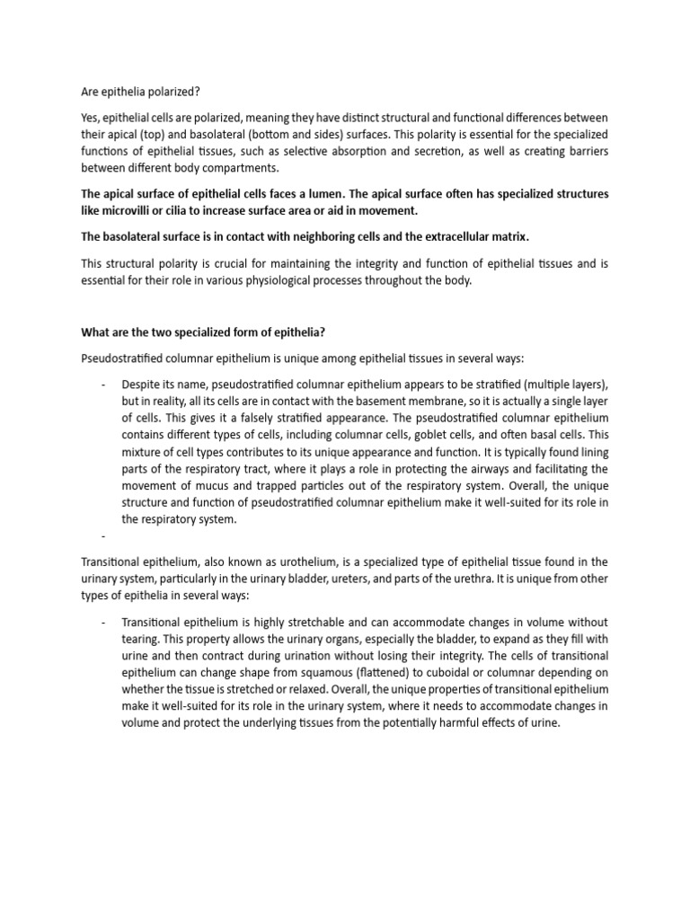 Histo Report F | PDF | Epithelium | Organ (Anatomy)