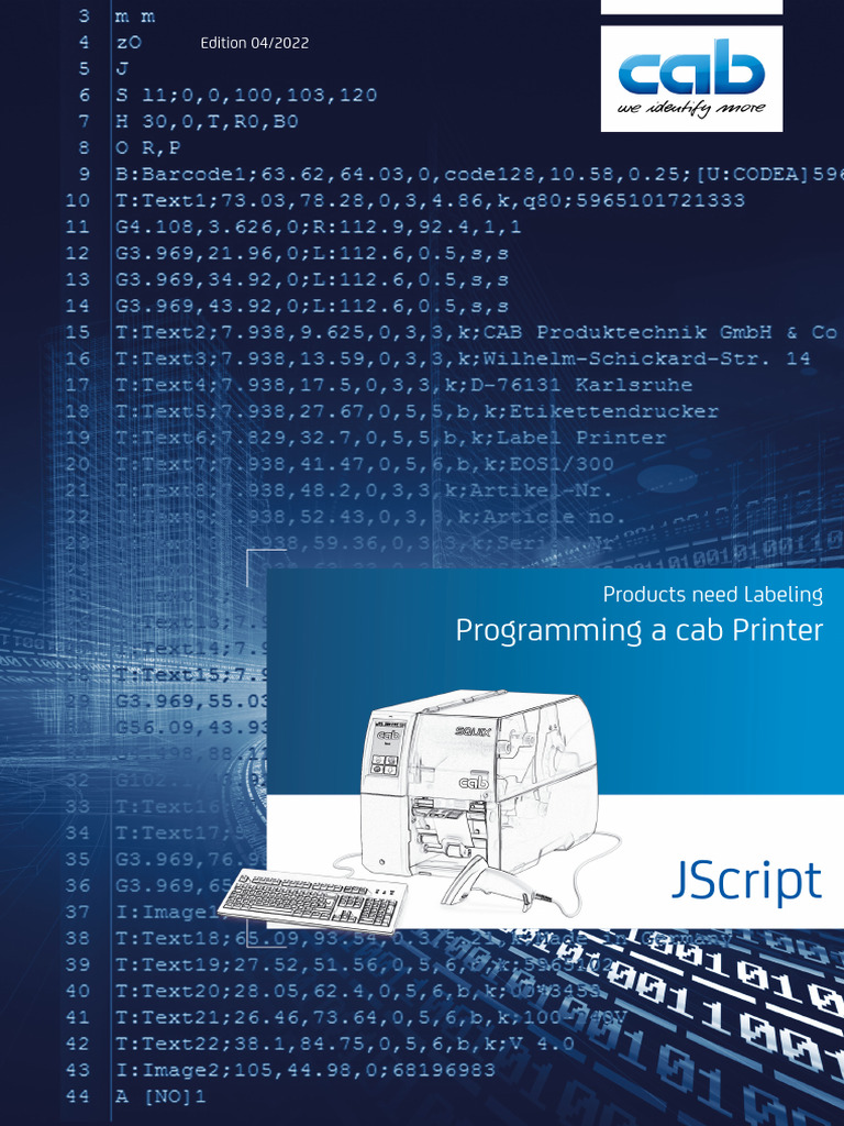 Programming Cab Printers | PDF | Computer Network | Text File