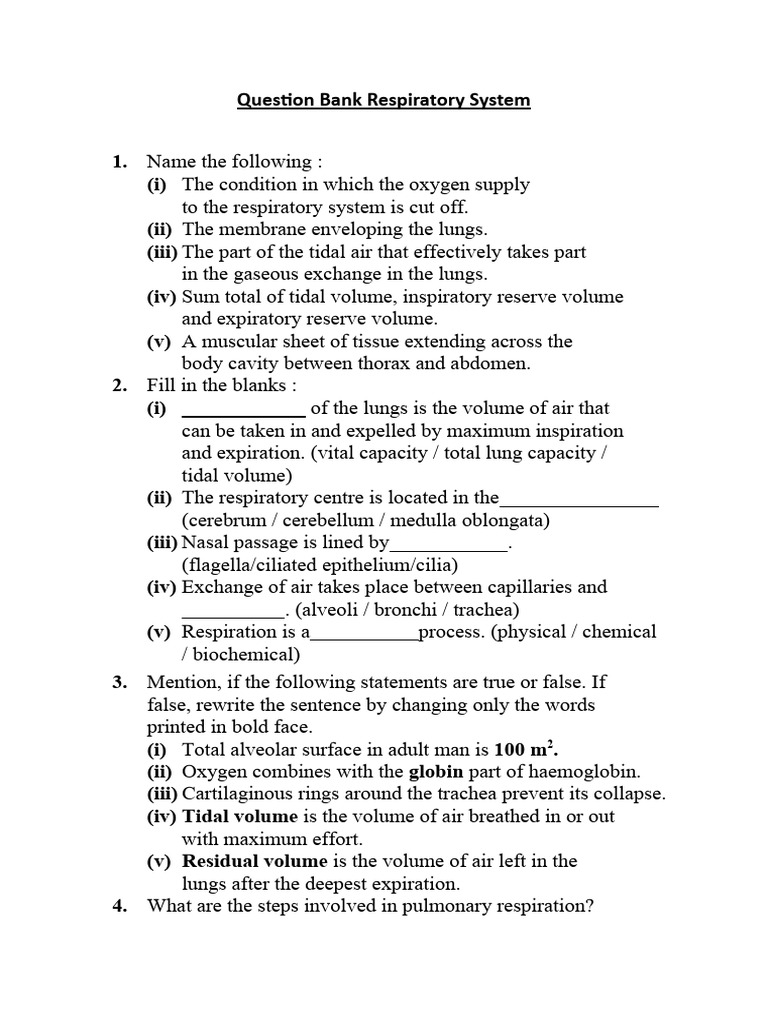class 9 Respiratory System | PDF