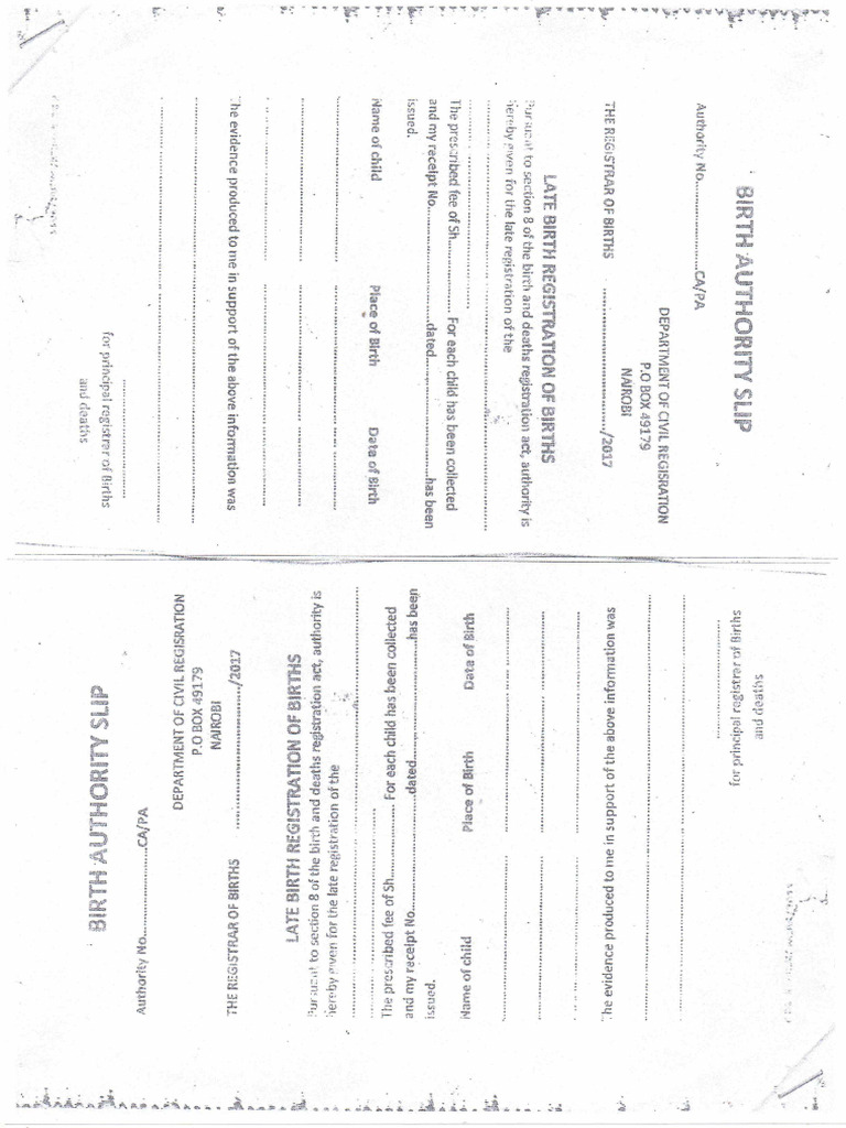 Birth Certificate Form 1-320240118 - 23132308 | PDF