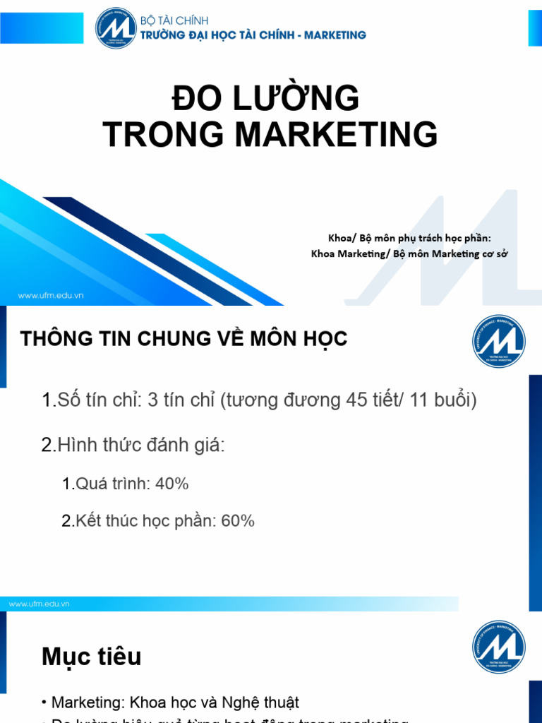 Do Luong Mkt-Ufm | PDF