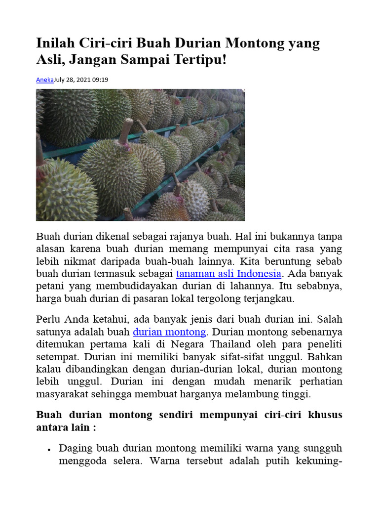 Durian Montong | PDF