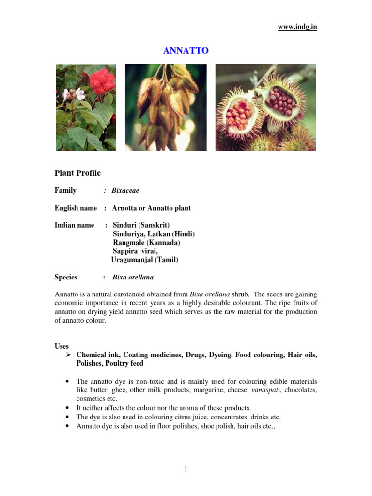 Annato | PDF | Botany | Plants