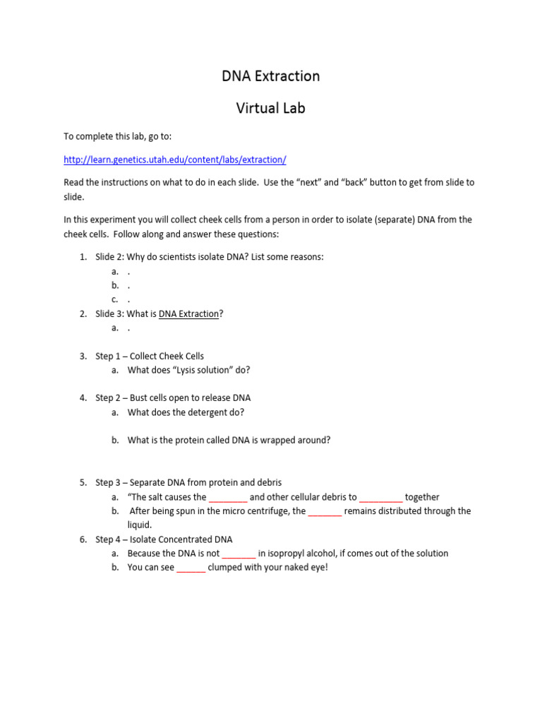 DNA Extraction Virtual Lab Guide | PDF
