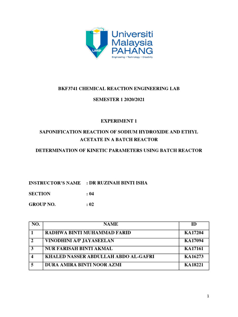 Chemical Reaction Engineering Lab Pdf Sodium Hydroxide Chemical