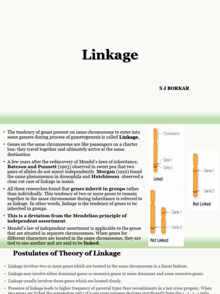 Linkage | PDF | Genetic Linkage | Dominance (Genetics)