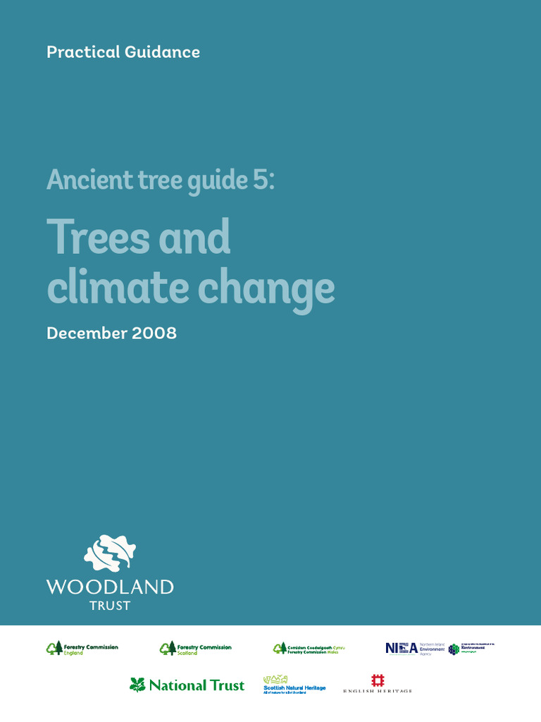 Ancient Trees and Climate Change | PDF