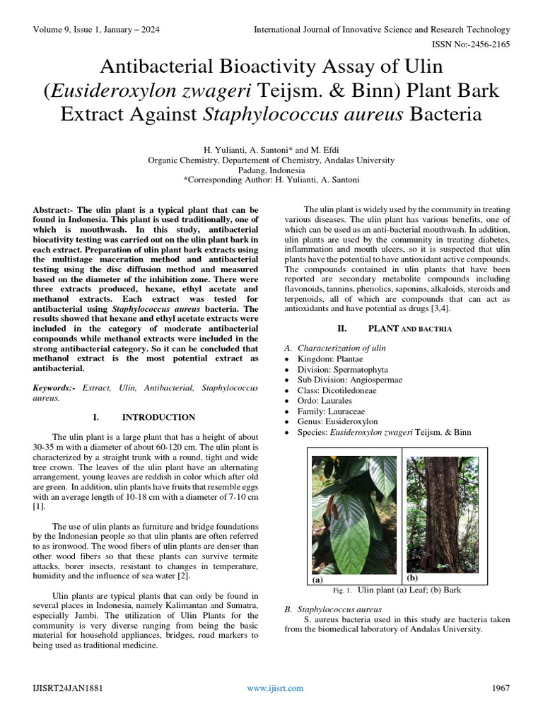 Antibacterial Bioactivity Assay of Ulin (Eusideroxylon Zwageri Teijsm ...