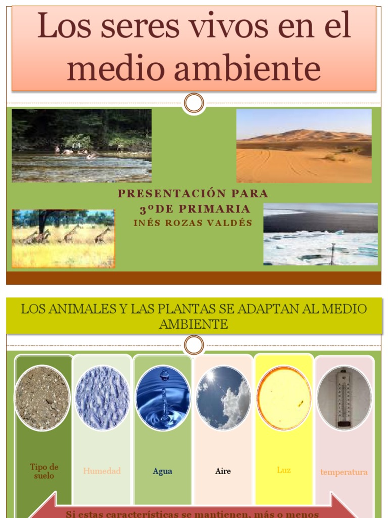 Los Seres Vivos en El Medio Ambiente 1201875102661249 5 | PDF