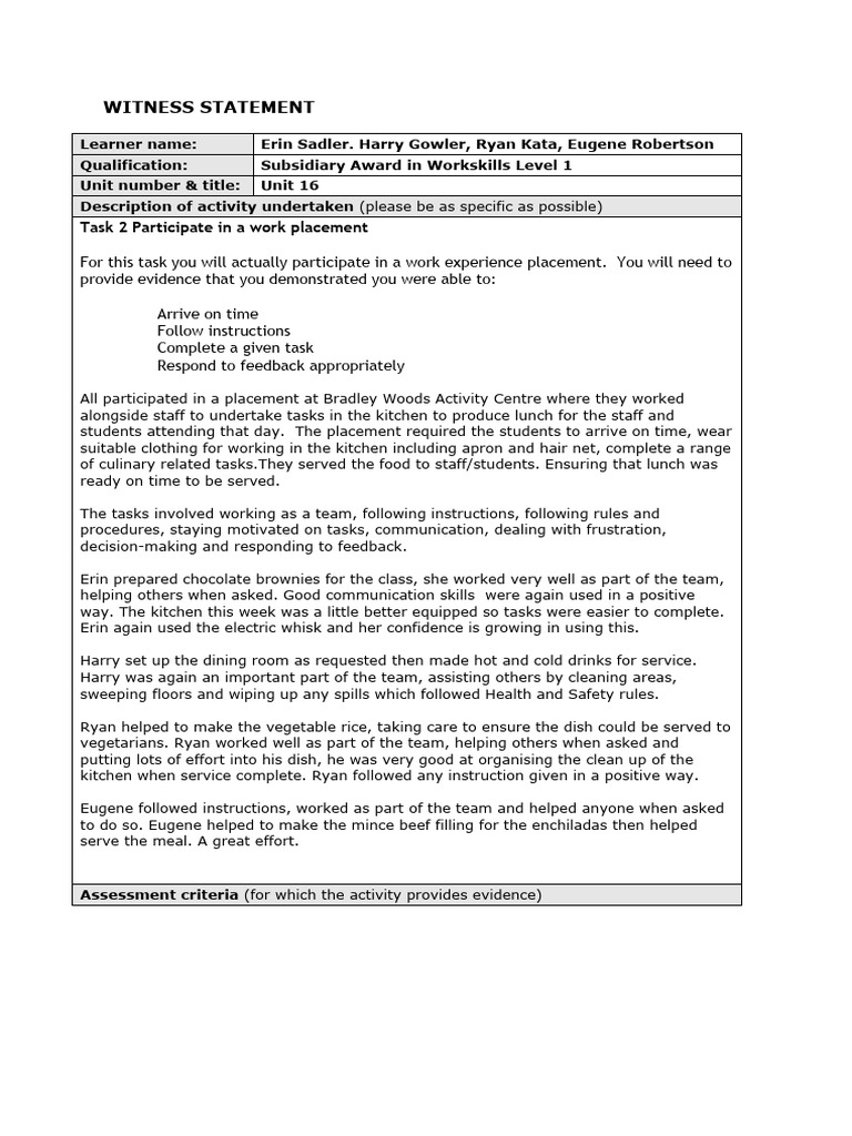 Witness Statement For Work Placement - Erin Sadler Harry Gowler Ryan ...