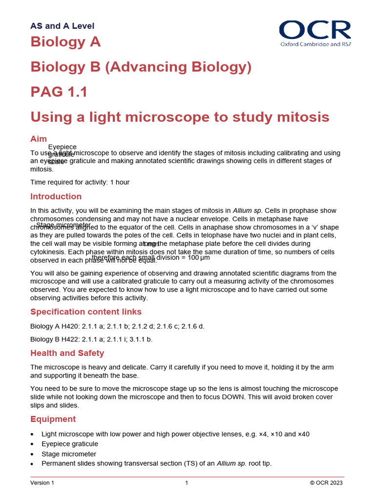 Observing Mitosis in Allium Cells | PDF | Mitosis | Microscope