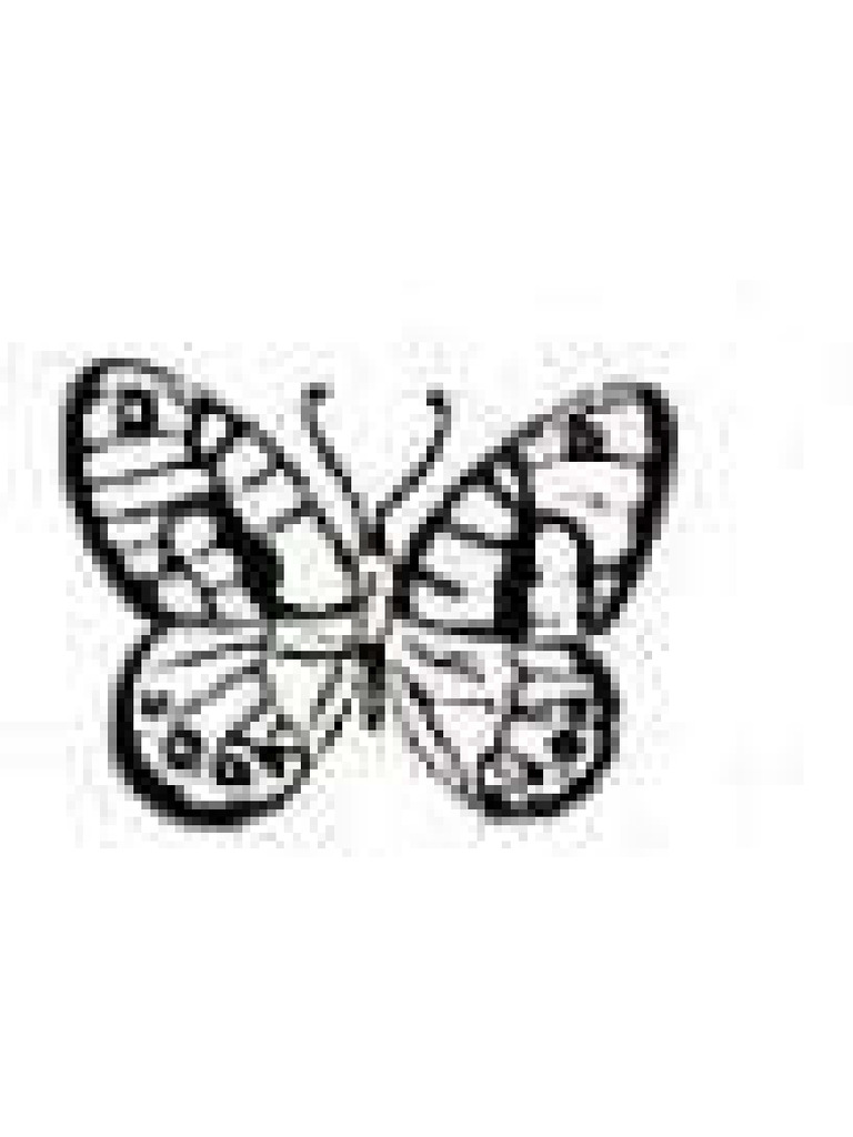 butterfly | PDF